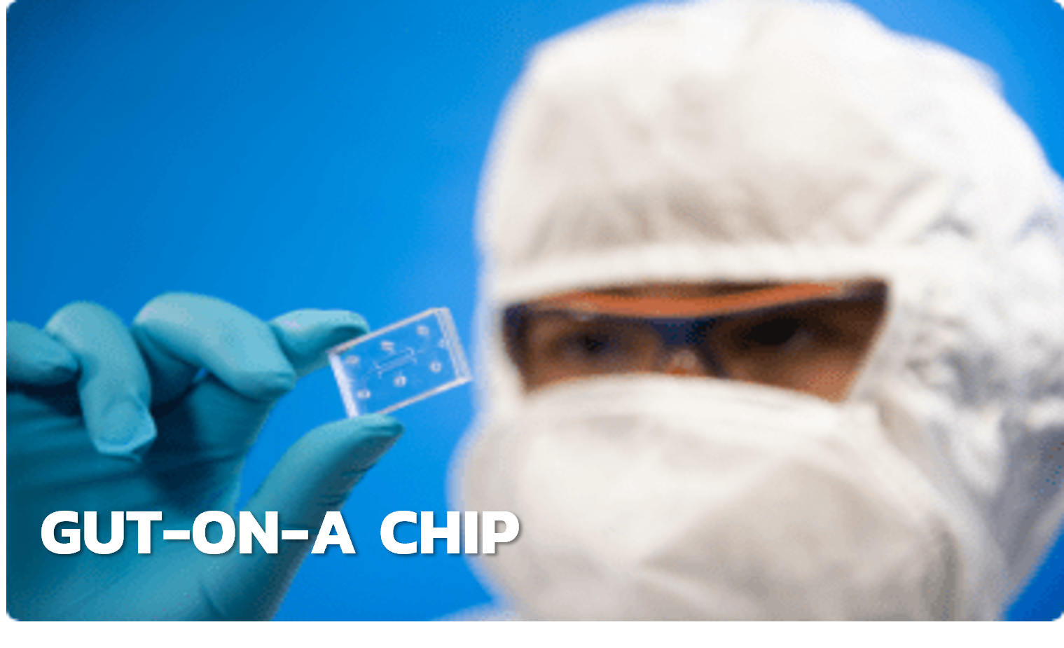 MICROFLUIDICS – TMEC